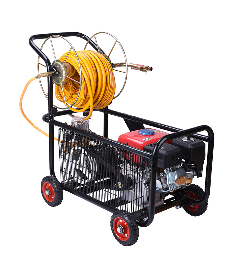 FST-30HT garden machine 6.5HP gasonline engine 30H cast iron pump ...