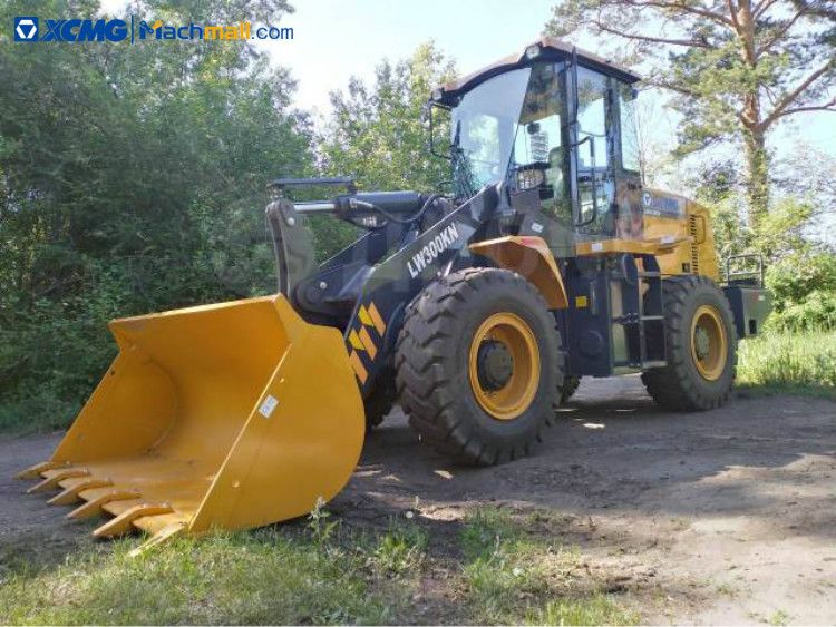 LW300KN loader for sale | XCMG LW300KN wheel loader 3 ton price, MACHMALL