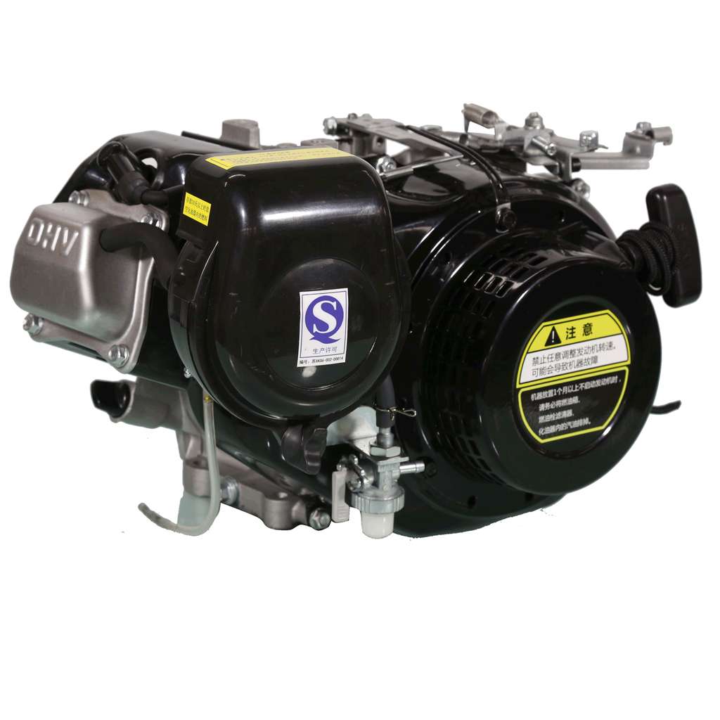 Powerful Transplant Gasoline Engine PW200, MACHMALL